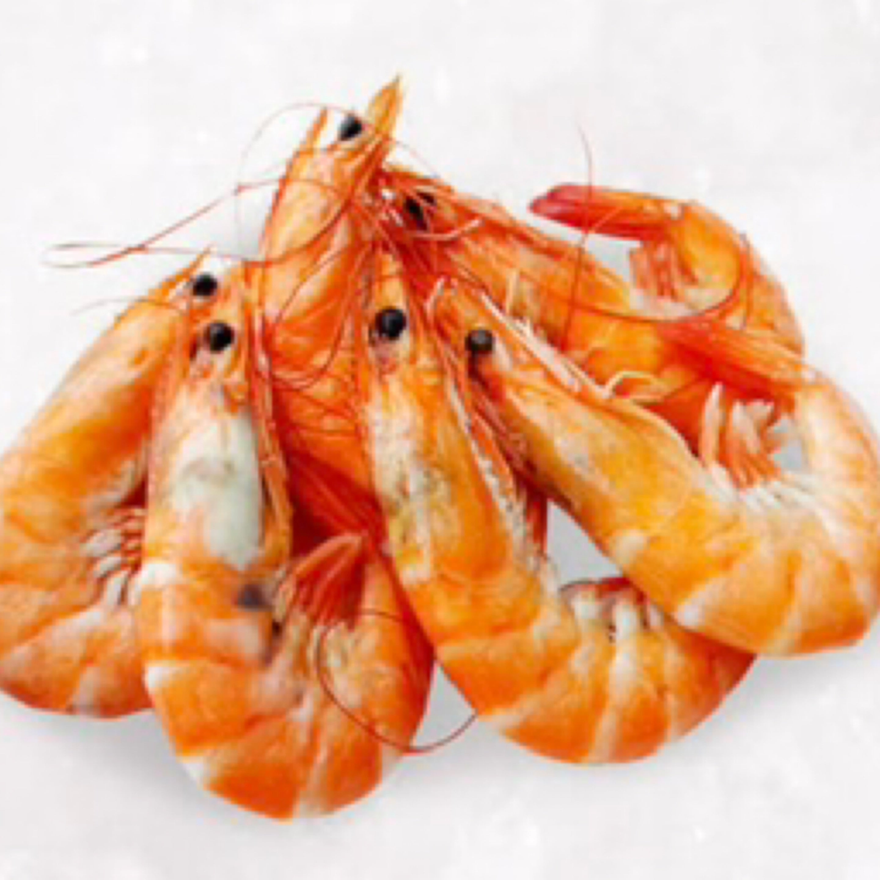 Medium bowl of prawns | Jervis Bay Shellfish Market